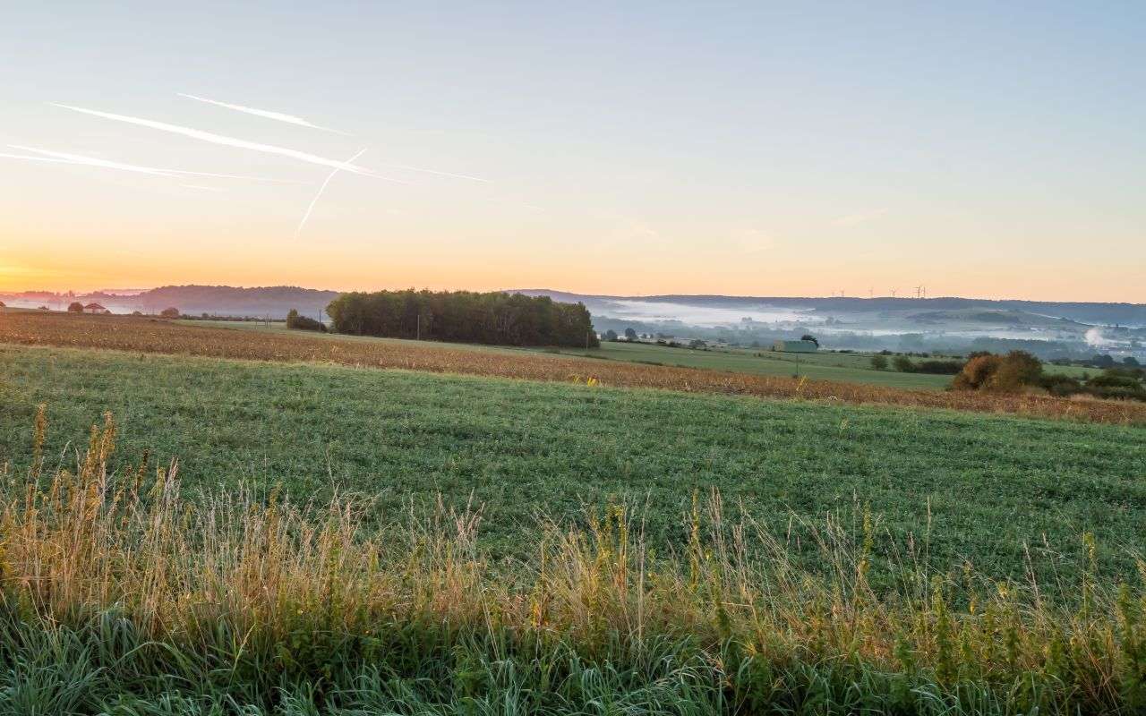 12 parcs naturels à découvrir en Wallonie • Mode in Belgium